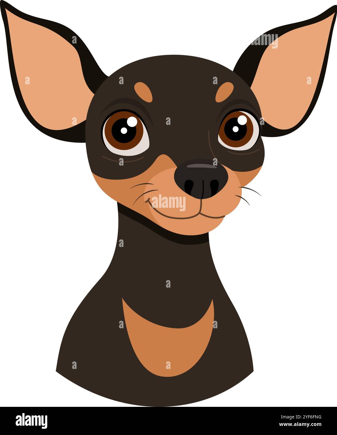 Cute black Chiweenie dog or chihuahua, mini pinscher. Dog Portrait ...