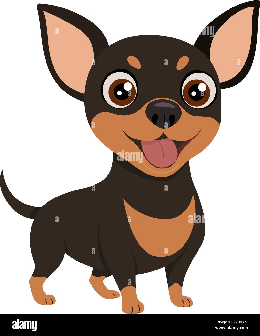 Cute black Chiweenie dog or chihuahua, mini pinscher. Hand drawn flat ...