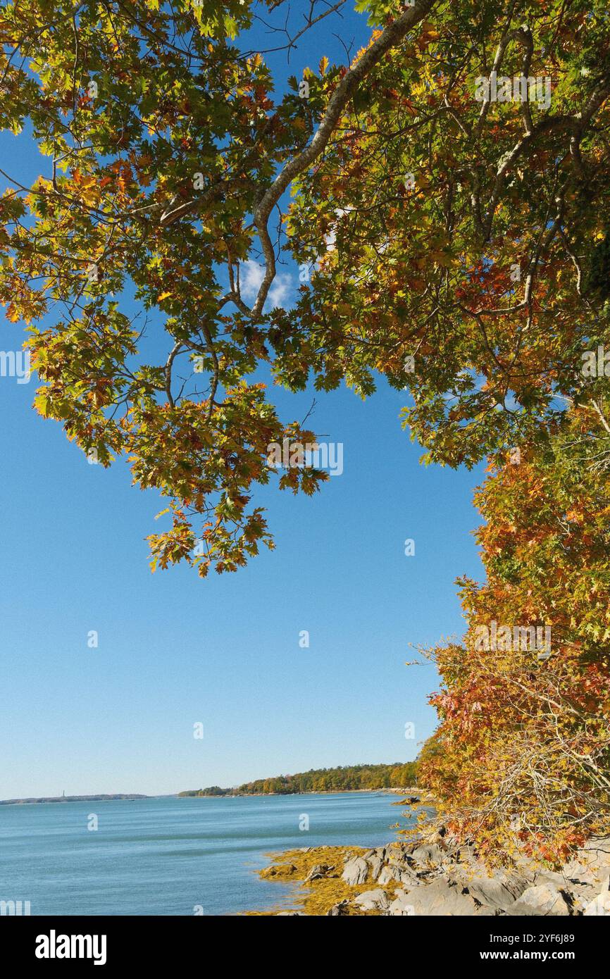 Portland maine waterfront trail hi-res stock photography and images - Alamy