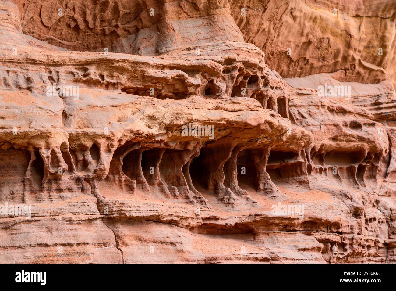Close-up of bizarre sandstone formations, rough surfaces, curved lines ...