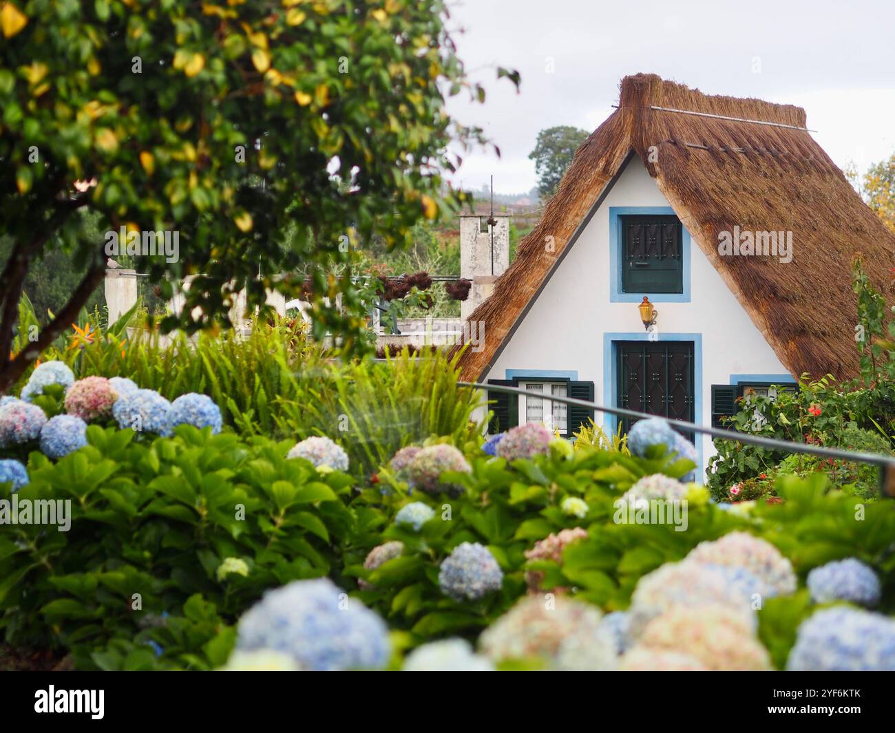 A charming traditional cottage with a thatched roof nestled amidst ...