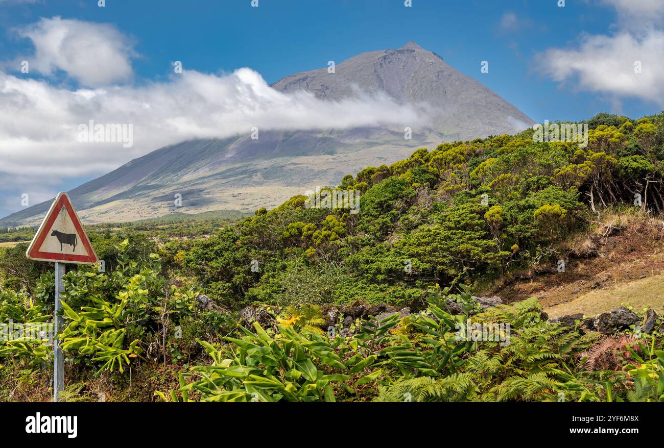 Mount pico hiking pico island azores hi-res stock photography and ...