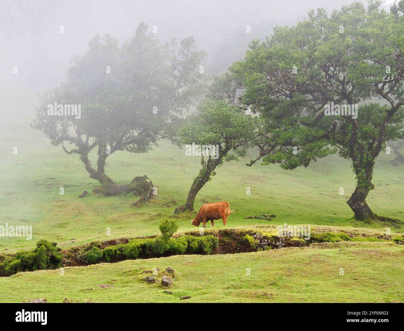 Sense of pastoral beauty hi-res stock photography and images - Alamy