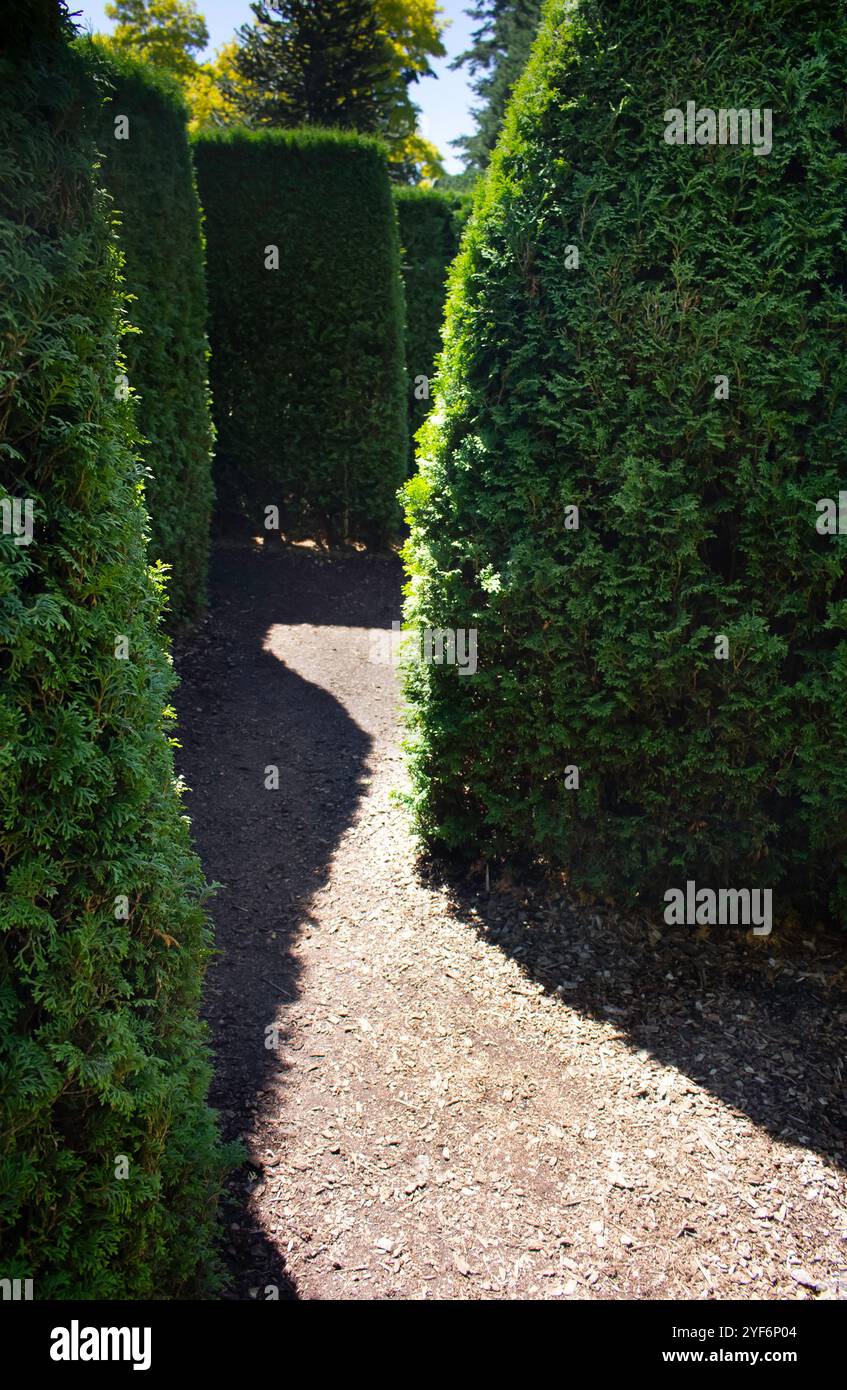 Maze field hedge hi-res stock photography and images - Alamy