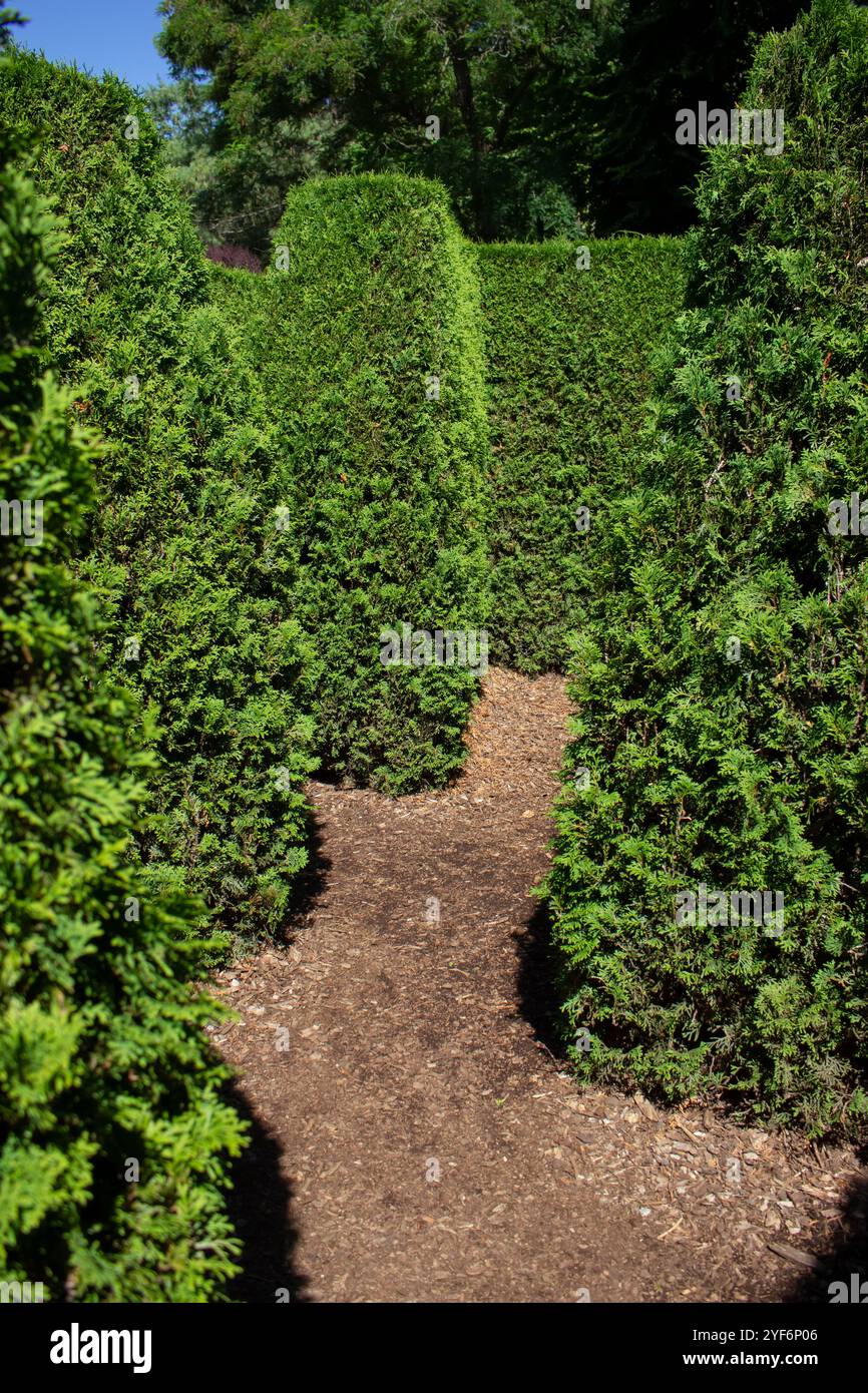 Maze field hedge hi-res stock photography and images - Alamy