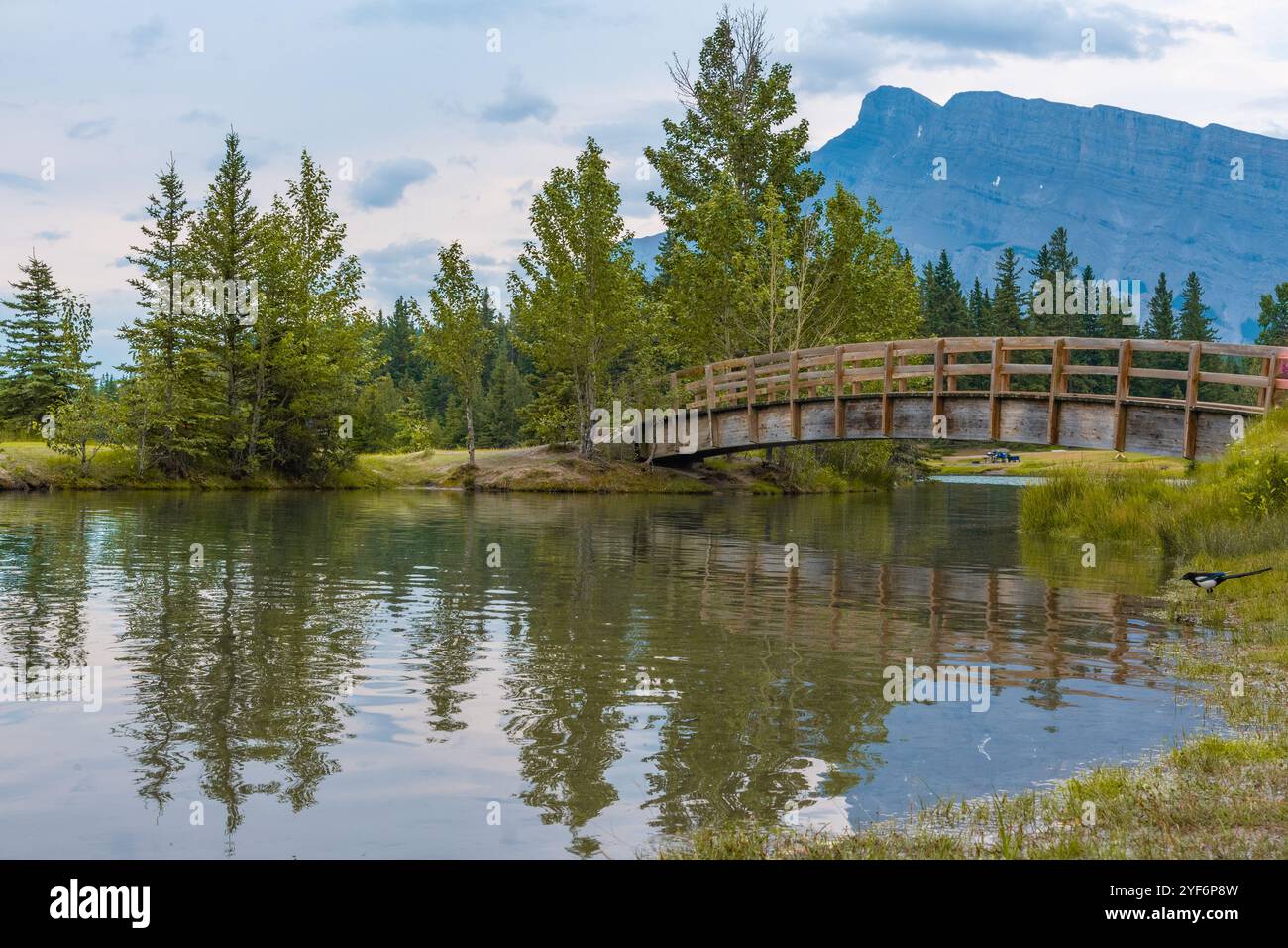 Cascade Ponds in Banff National Park during summer time with stunning ...