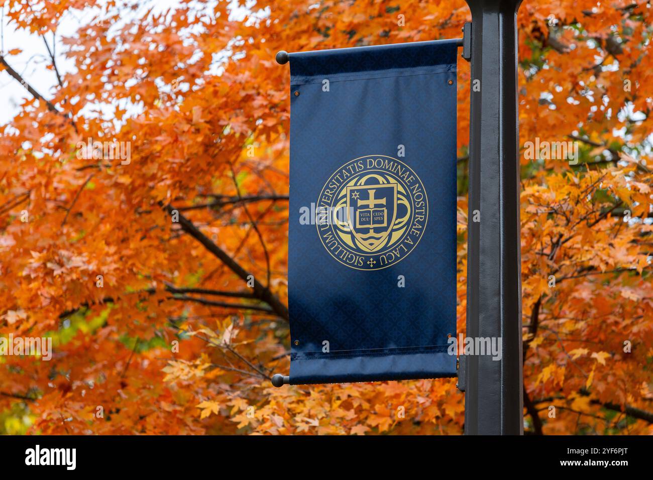The university seal of the University of Notre Dame, Sigillum ...
