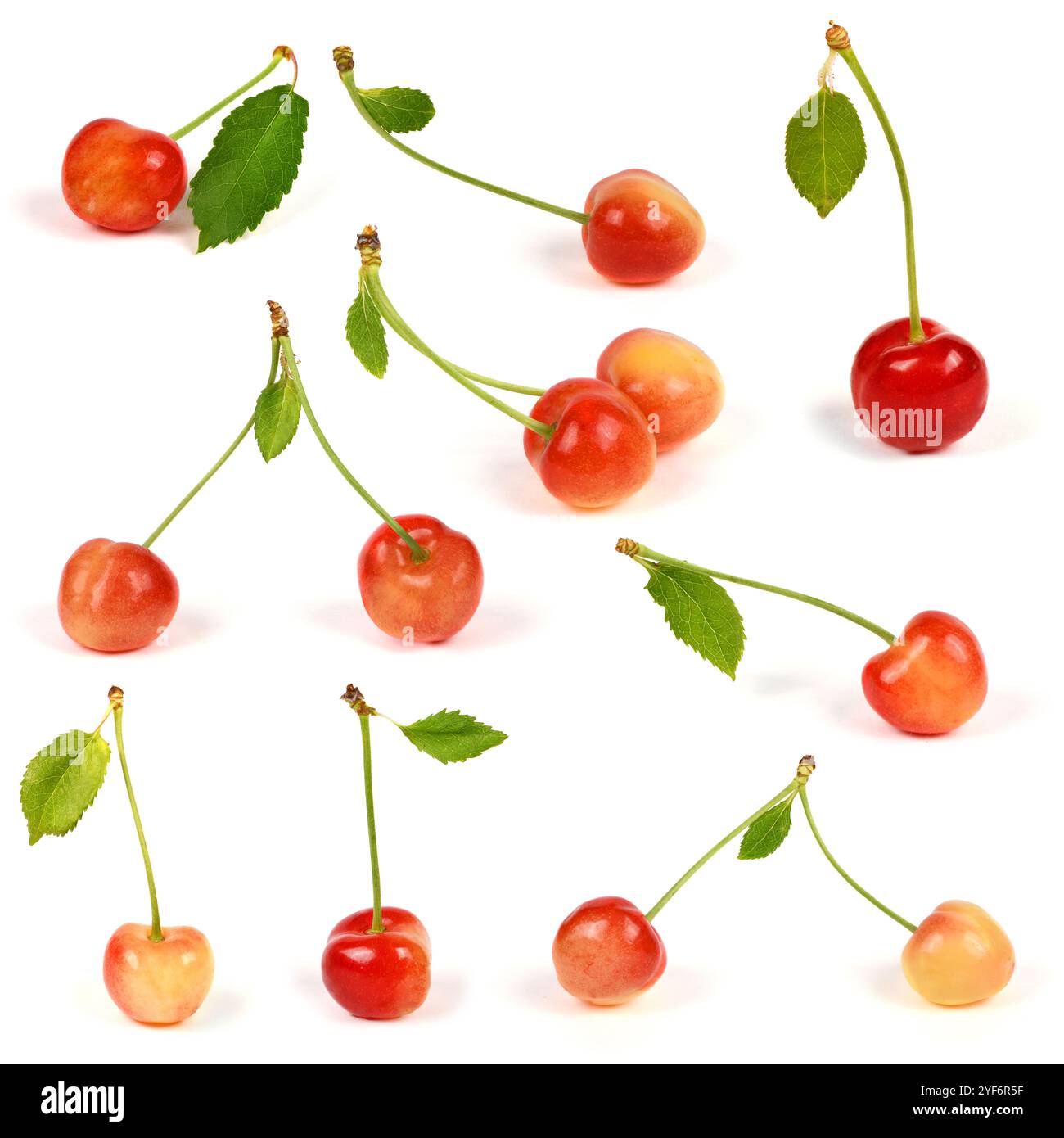 Collection of light red different sweet cherries with green leaf, side ...
