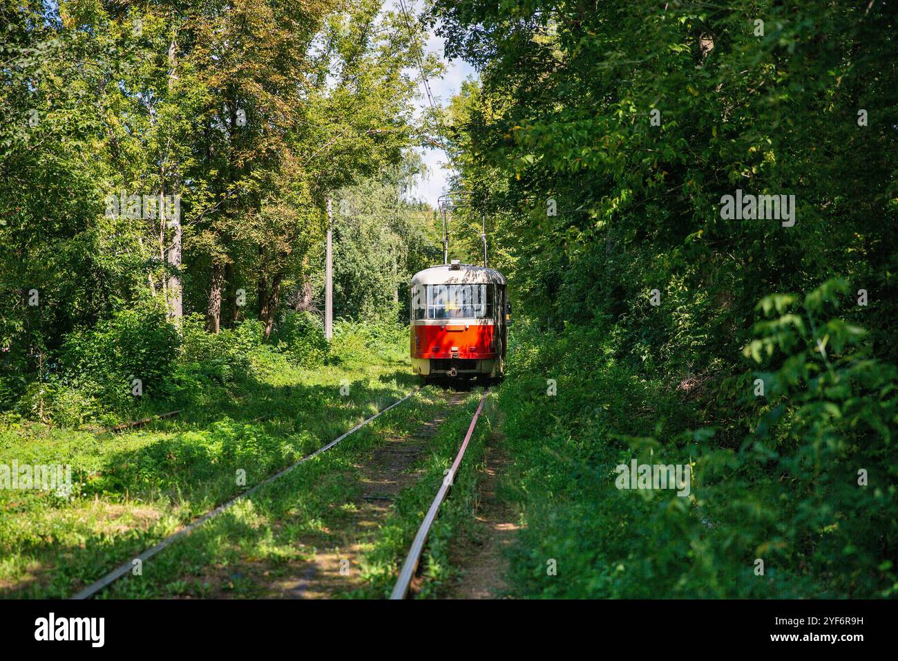 Red train running through forest hi-res stock photography and images ...