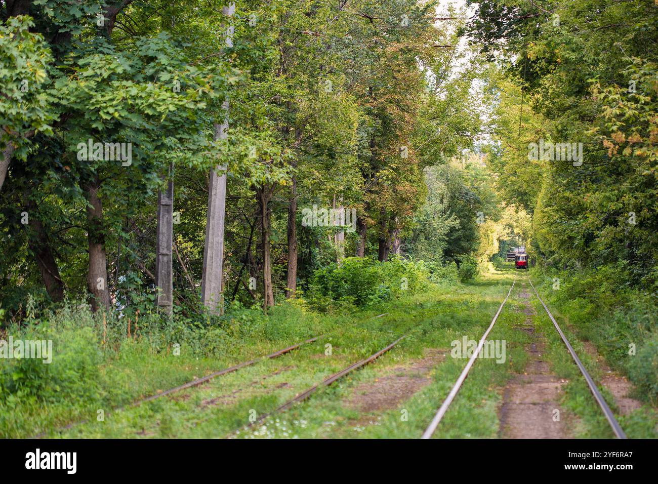 Long tram tracks running through the forest in Kyiv, Ukraine Stock ...