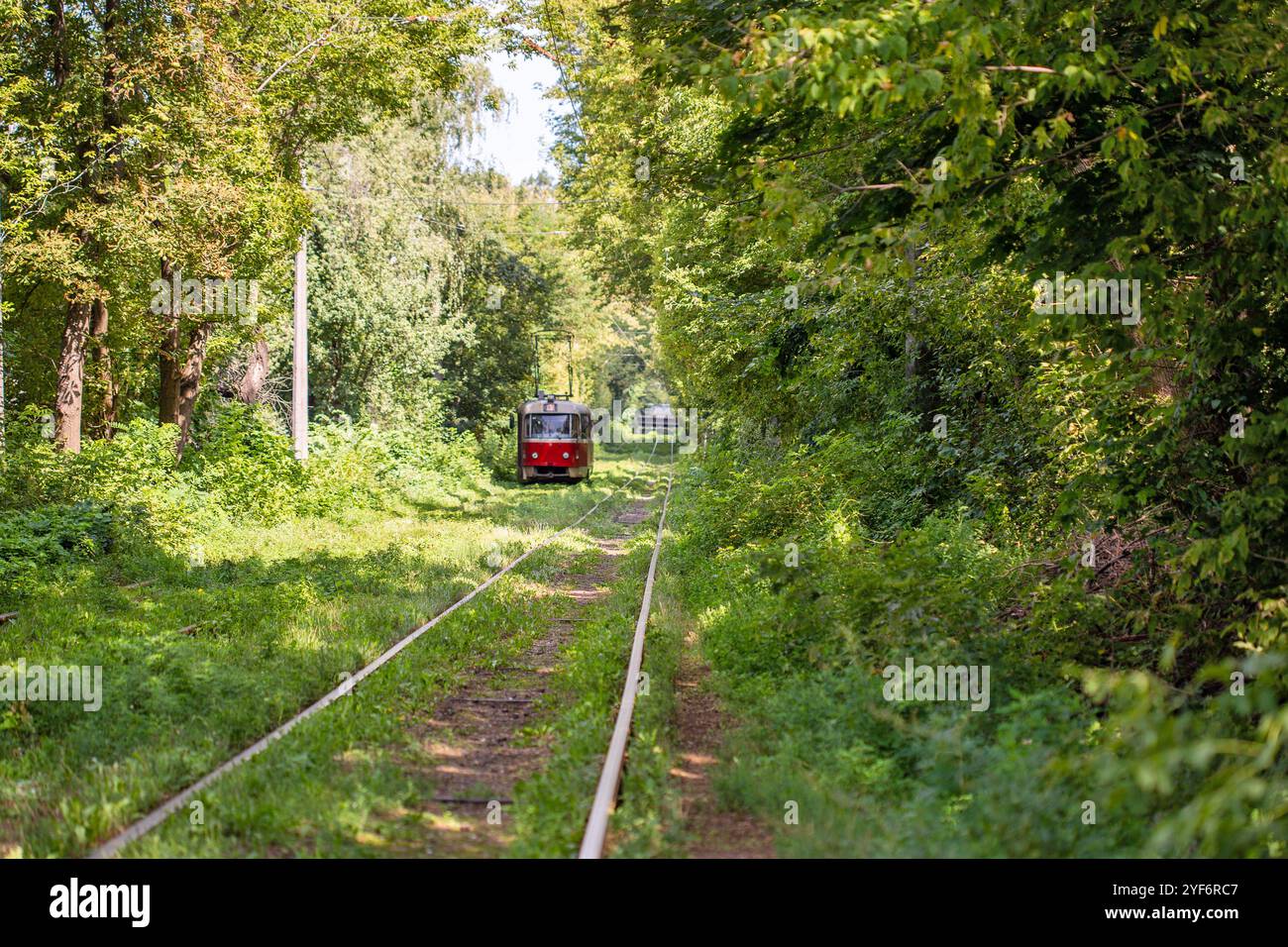 Long tram tracks running through the forest in Kyiv, Ukraine Stock ...