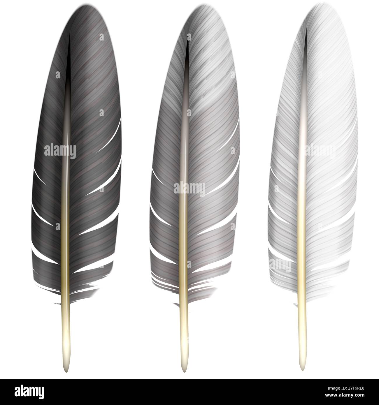 Black and white illustra Cut Out Stock Images & Pictures - Alamy