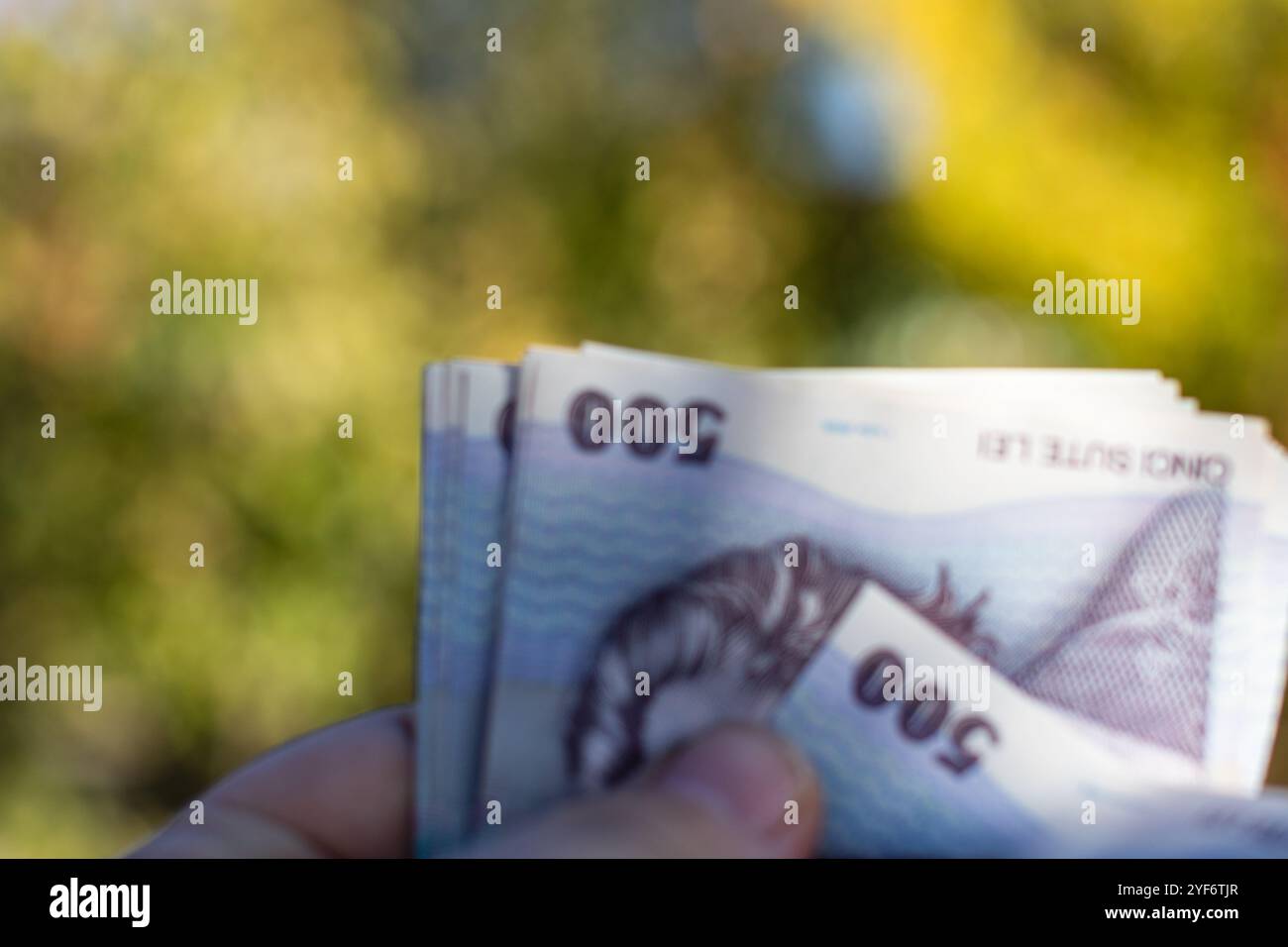 Romanian LEI Currency Banknote. RON Money Currency Stock Photo - Alamy