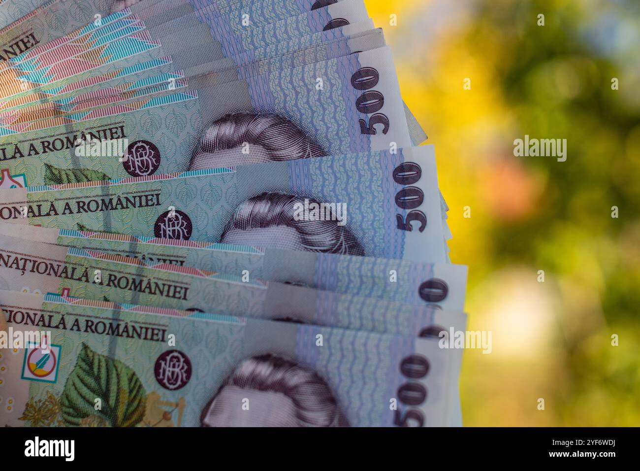 Romanian LEI Currency Banknote. RON Money Currency Stock Photo - Alamy