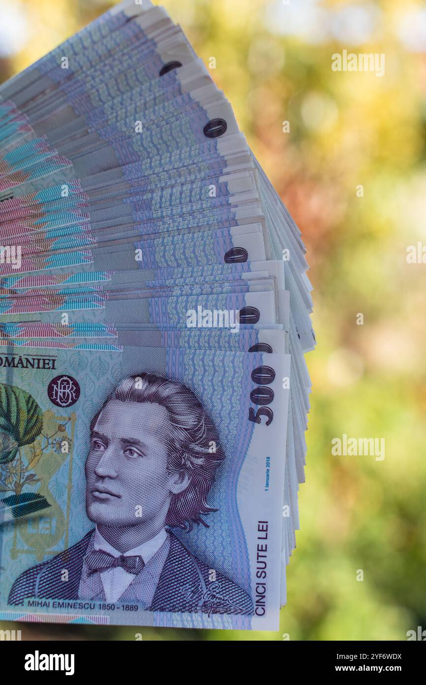 Romanian LEI Currency Banknote. RON Money Currency Stock Photo - Alamy