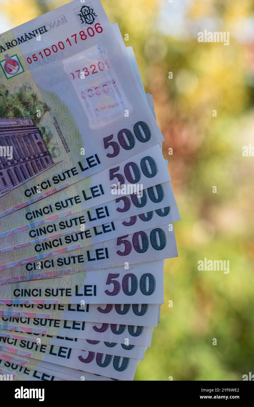 Romanian LEI Currency Banknote. RON Money Currency Stock Photo - Alamy