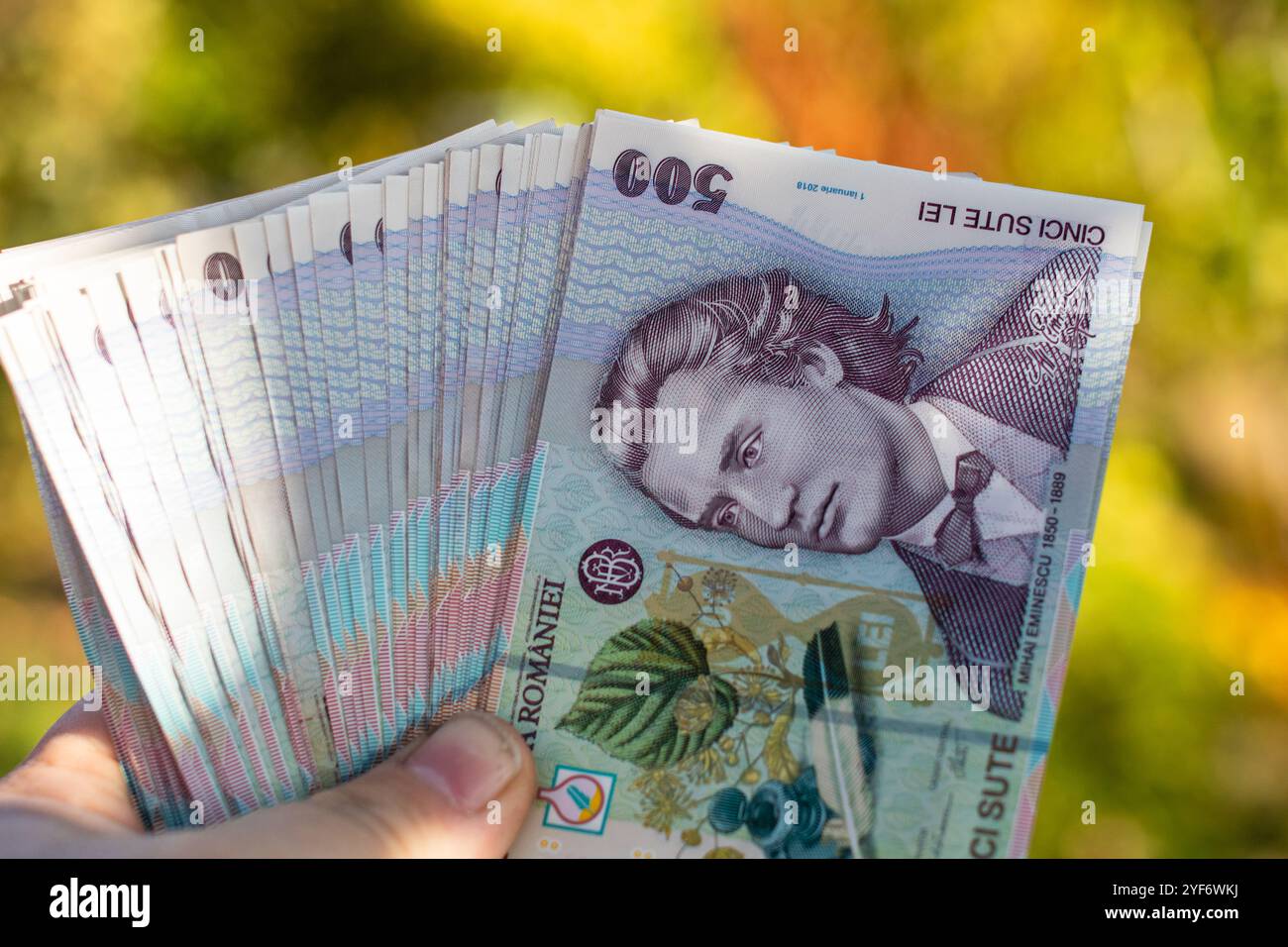 Romanian LEI Currency Banknote. RON Money Currency Stock Photo - Alamy