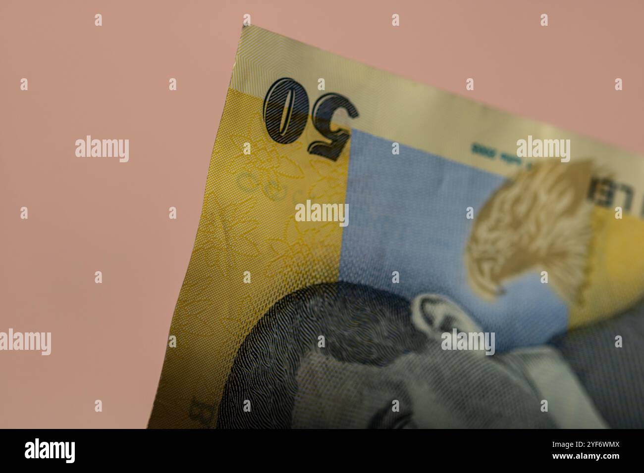 Romanian LEI Currency Banknote. RON Money Currency Stock Photo - Alamy