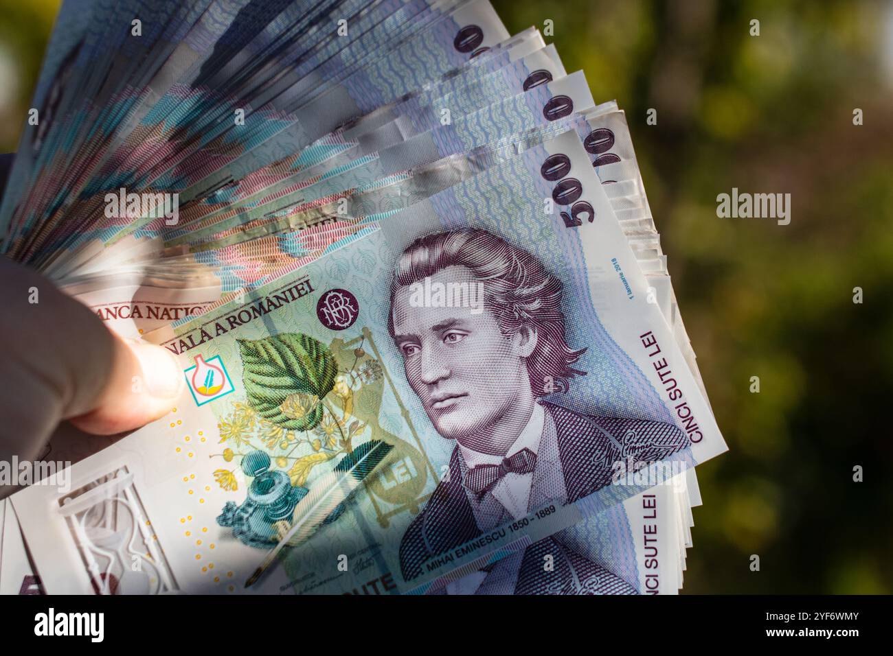 Romanian LEI Currency Banknote. RON Money Currency Stock Photo - Alamy
