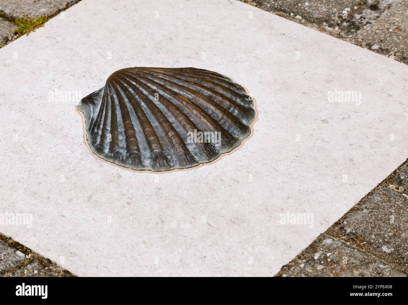 A bronze shell sculpture sits on a square paved surface, showcasing ...