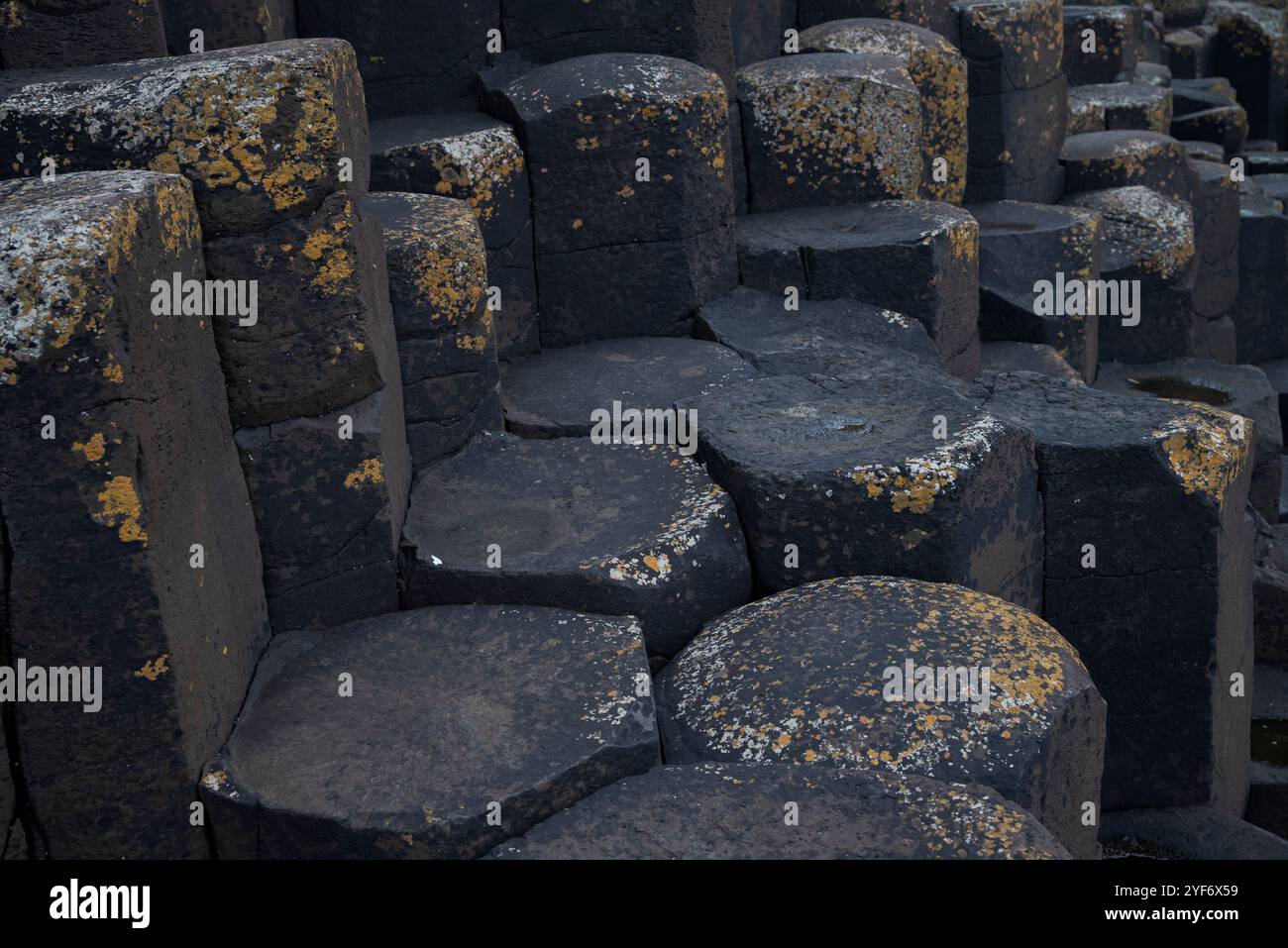 Striking hexagonal structure hi-res stock photography and images - Alamy