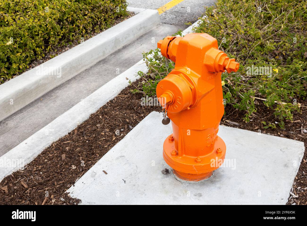 A view of an orange fire hydrant next to shrubs and a water gutter ...