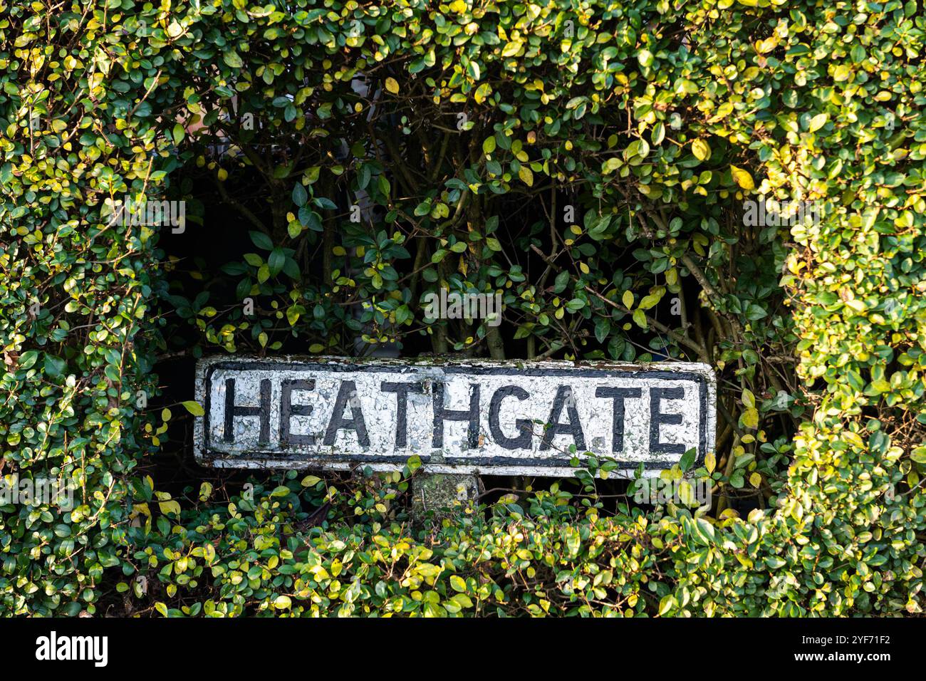 A green shrub with a cutout for placing a sign to mark the London ...
