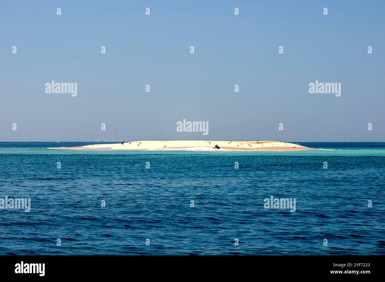 Vache island haiti hi-res stock photography and images - Alamy