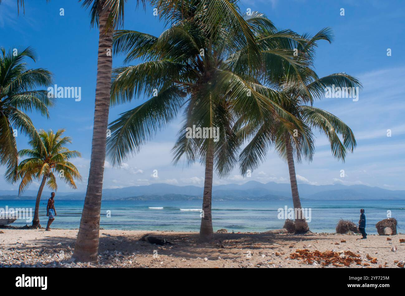Palm trees on the beach in Cayes-à-L’eau, a fishermen islet located ...