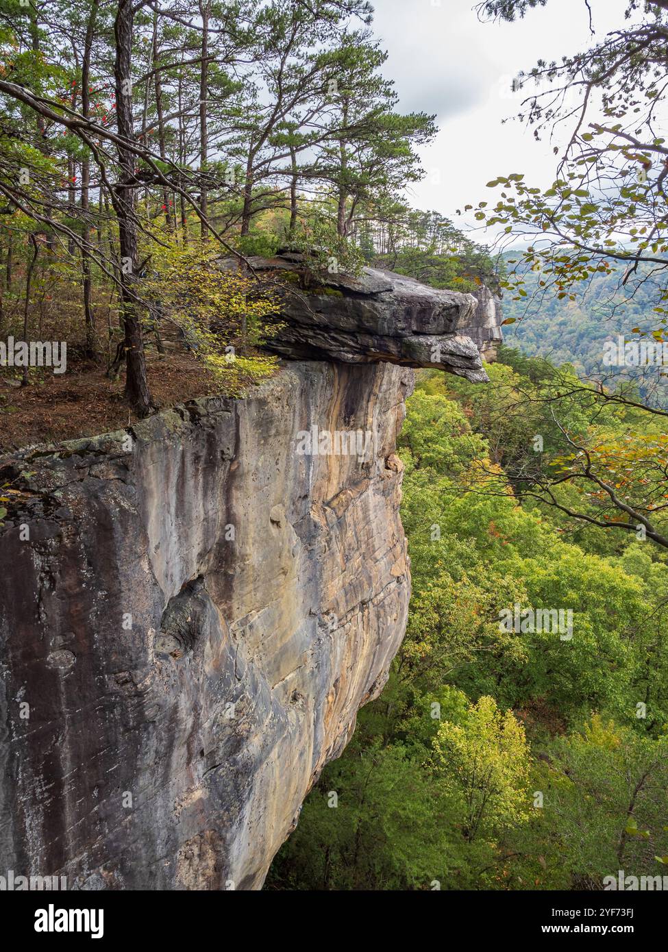 The Endless Wall Trail in New River Gorge National Park reveals ...