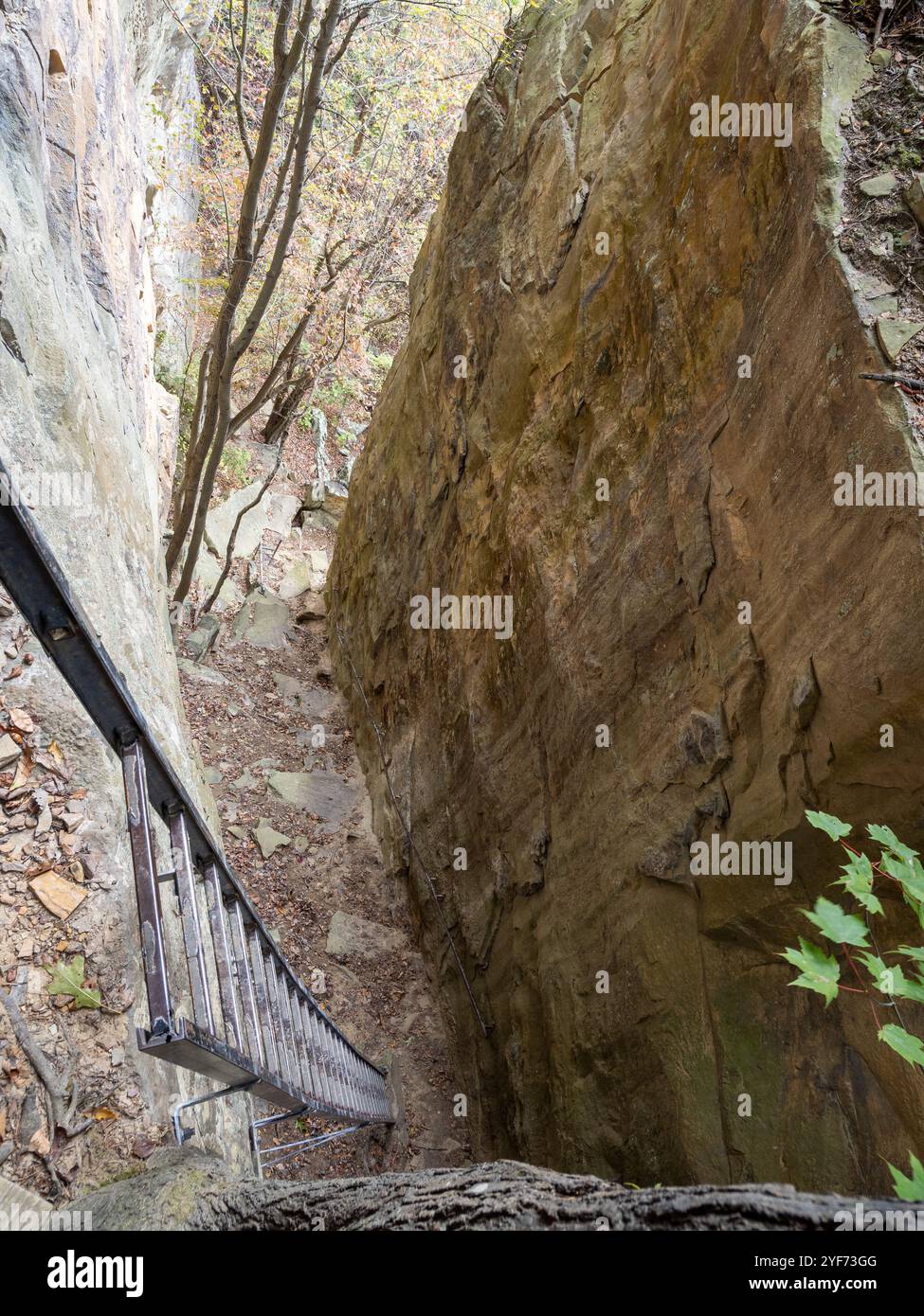 A ladder bolted to the rugged rock face climbs up the steep ravine at ...