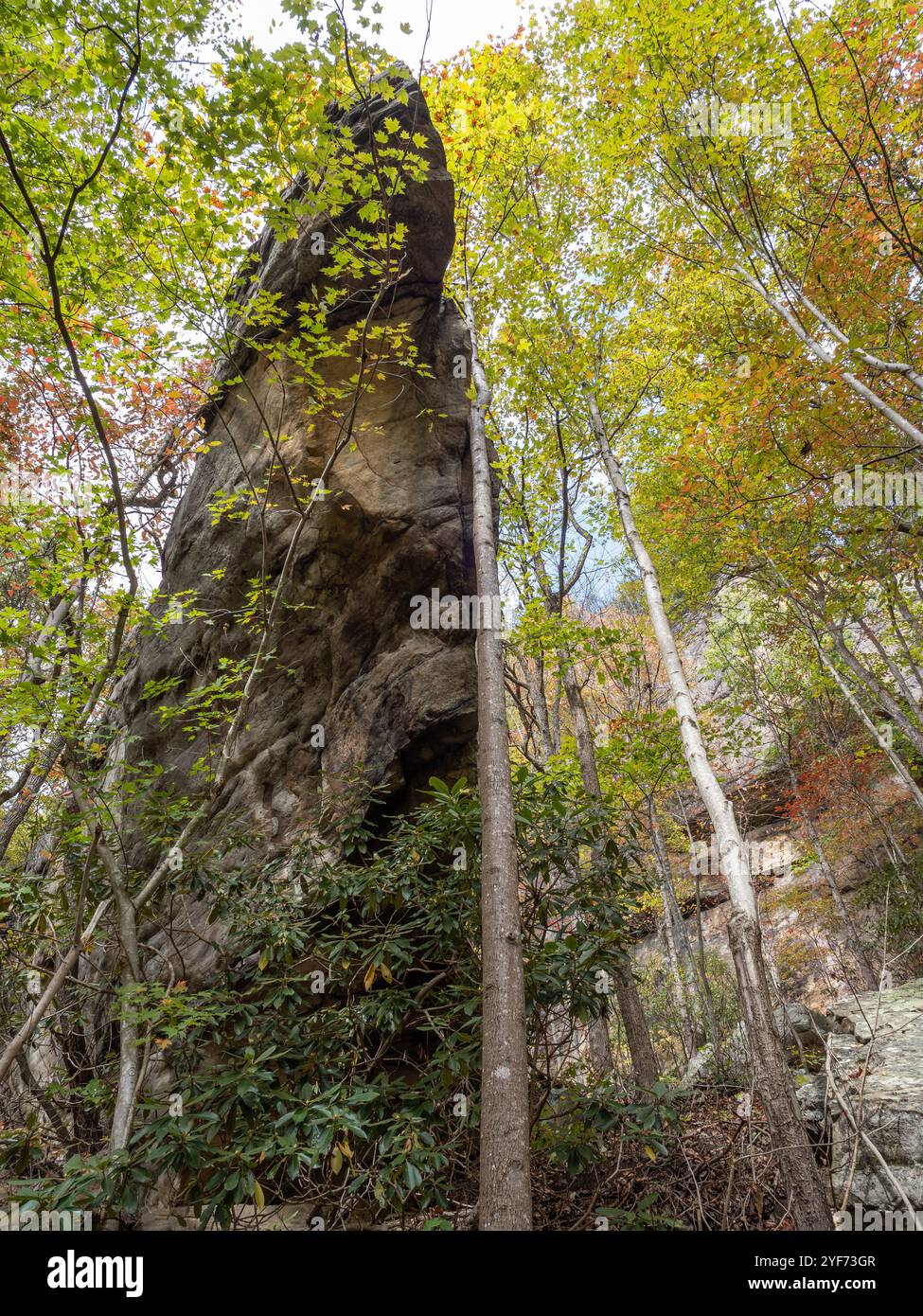 A towering cliff stands like a natural fortress above a hiking trail in ...