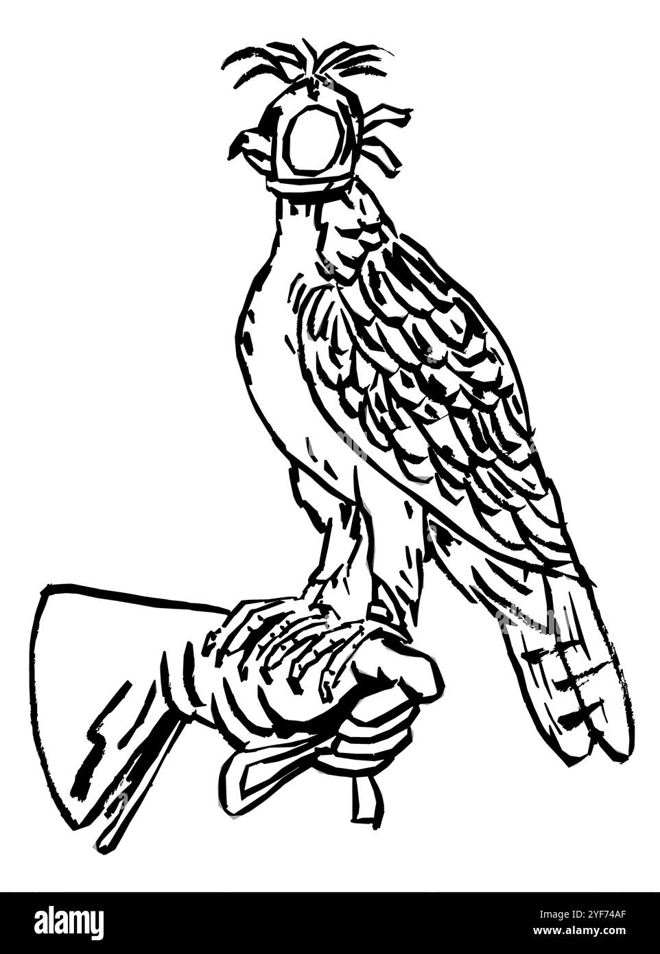 Hawk on gauntlet illustration Stock Photo - Alamy