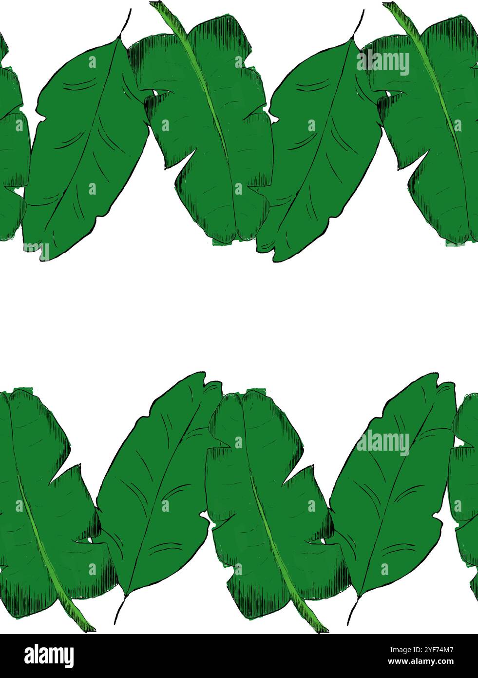 Fern leaf illustration in Stock Vector Images - Alamy