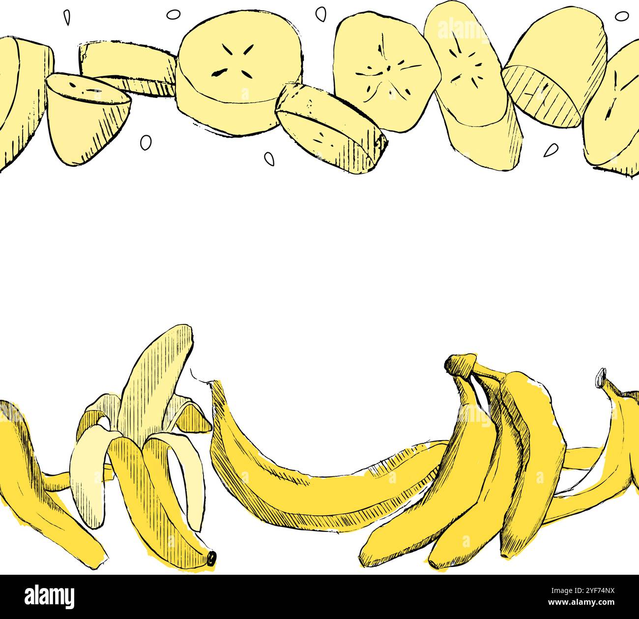 Slice bananas vector seamless pattern border horizontal frame. Tropical border. Hand-drawn ...