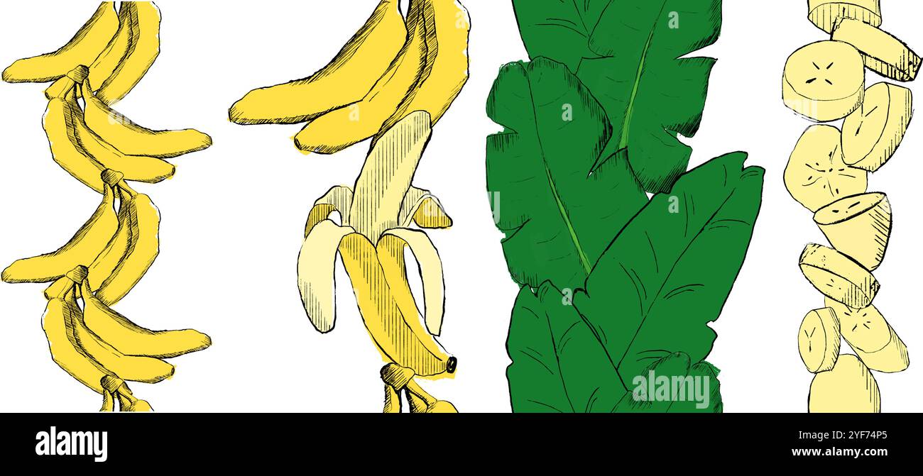 Banana vertical seamless border vector set. graphic illustration of ...