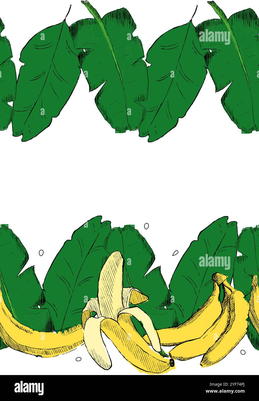 Amazon tropical leaves seamless pattern horizontal border frame. vector ...