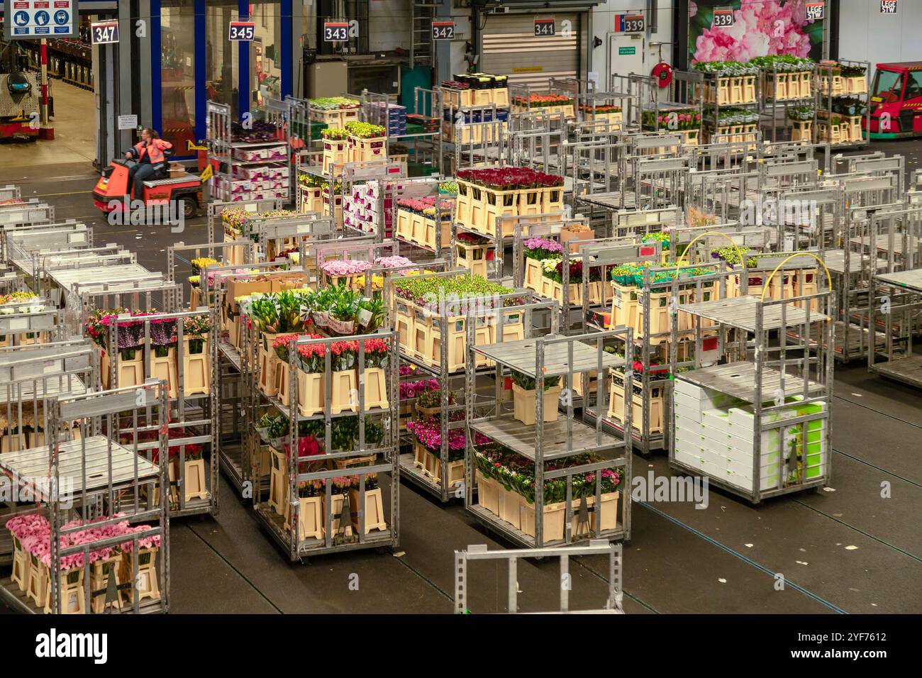 Flora distribution hi-res stock photography and images - Alamy