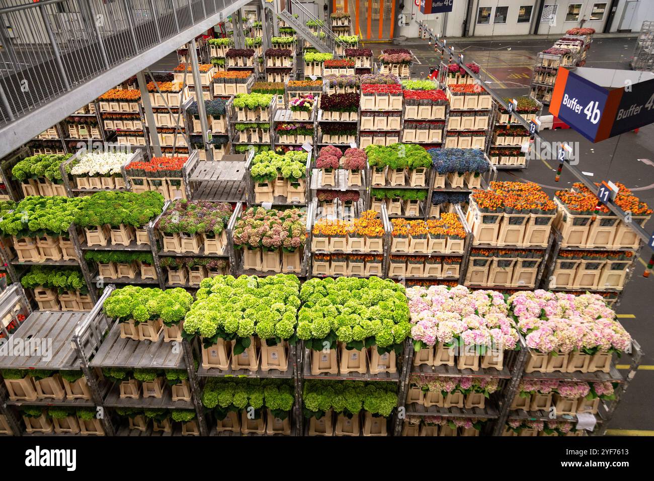 Largest flower auction in the world hi-res stock photography and images ...