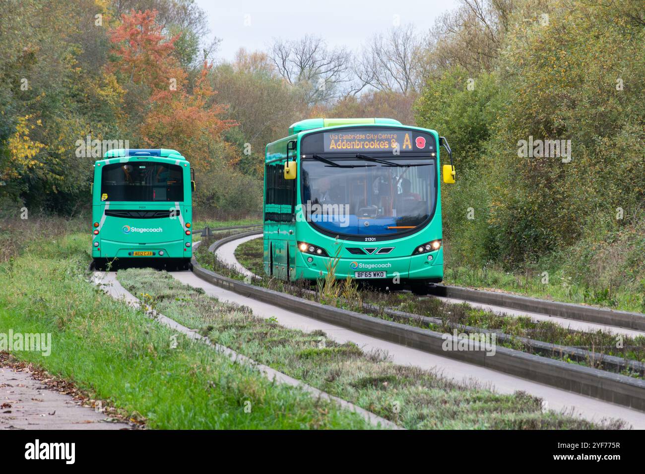 Two Stagecoach buses travelling on the Cambridgeshire Guided Busway ...
