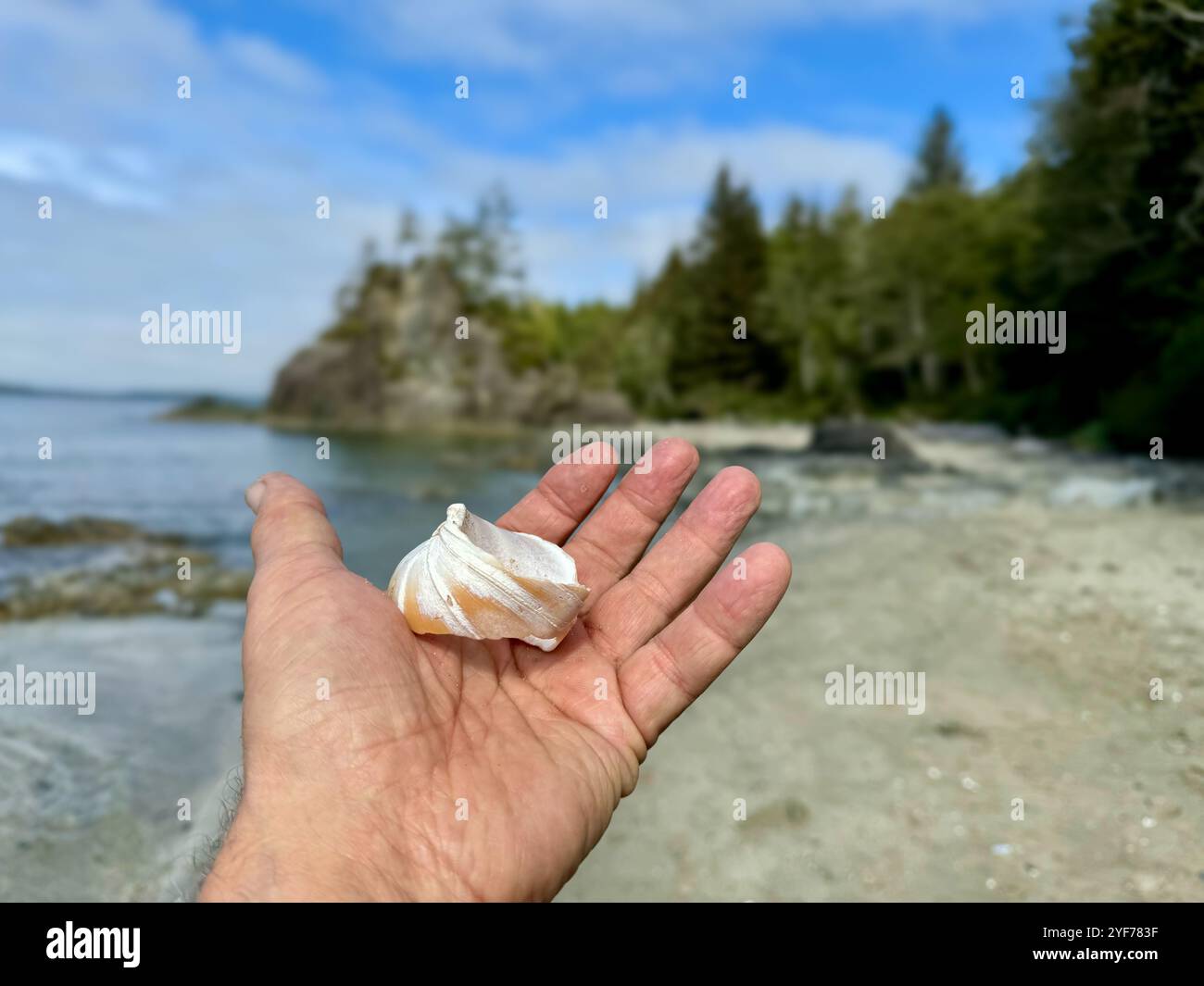 Personal perspective of a man standing on a beach with an outstretched ...