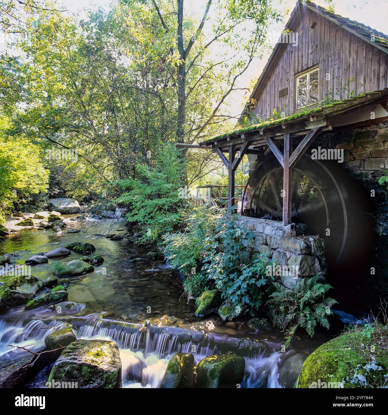 Vintage Mühle am Rain water mill, built 1875, river, Black Forest ...