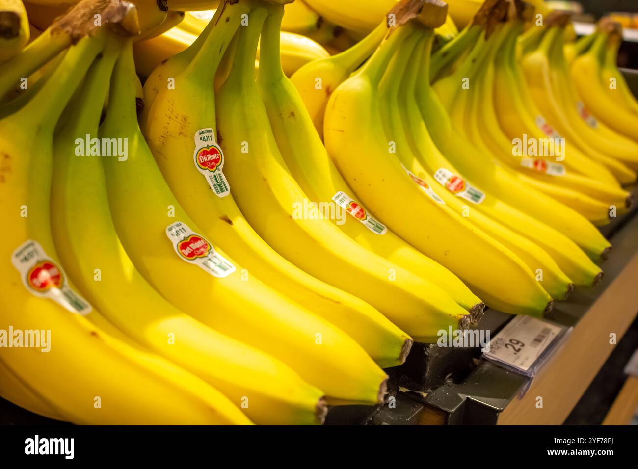 Los Angeles, California, United States - 08-09-2019: A view of several ...