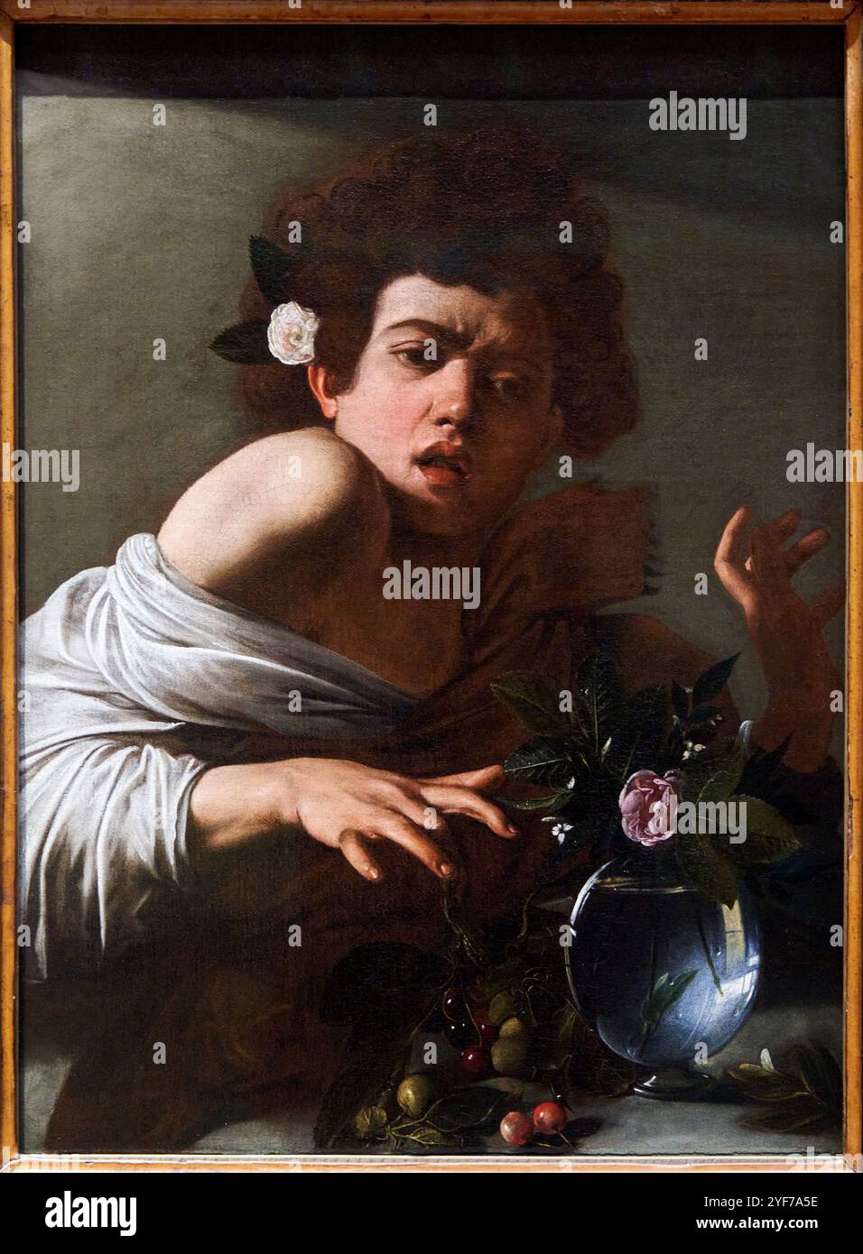 Boy bitten by a Lizard, about 1594-. 1595, Michelangelo Merisi da ...