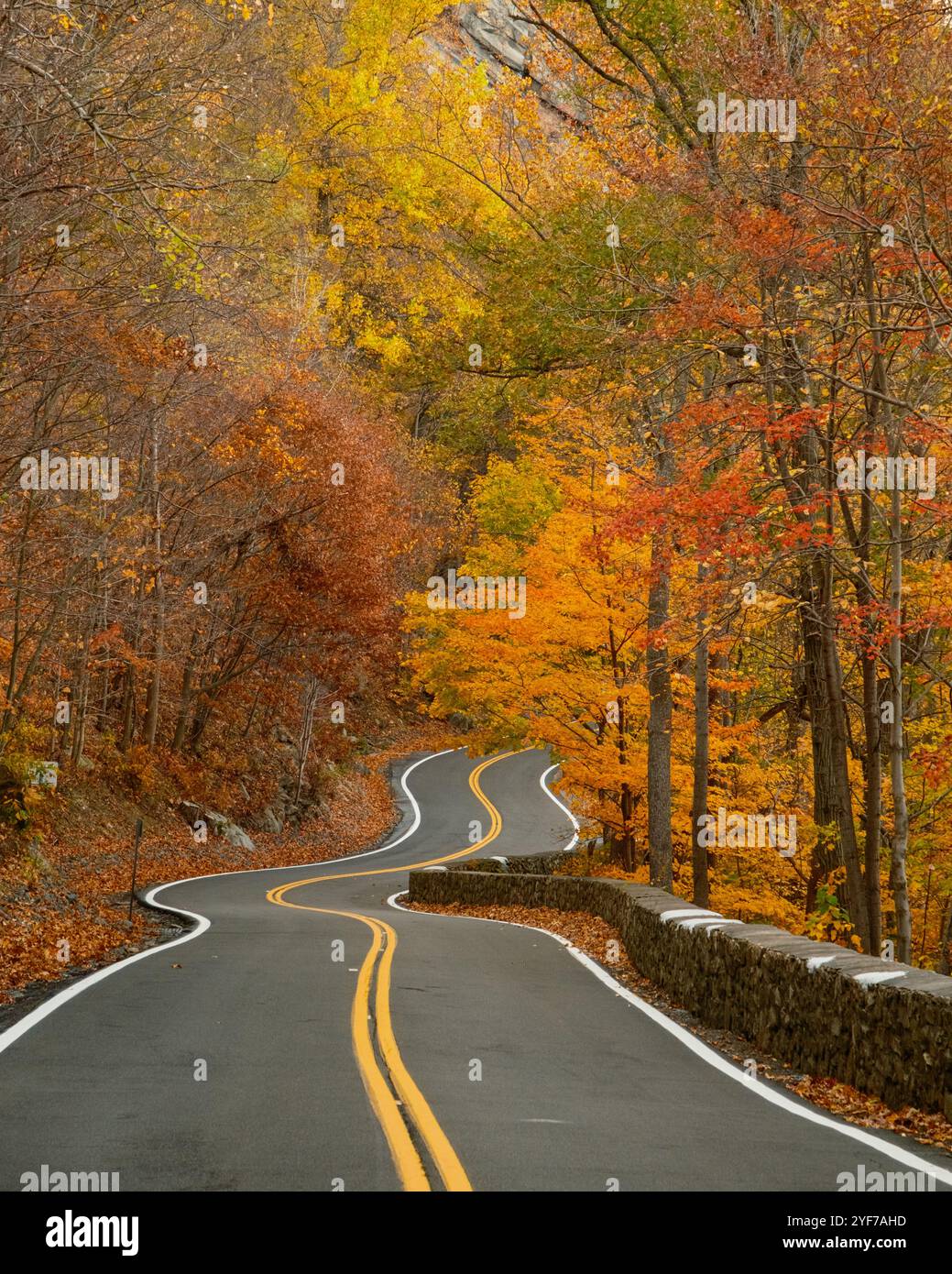 A winding road through vibrant fall foliage on Storm King Highway ...