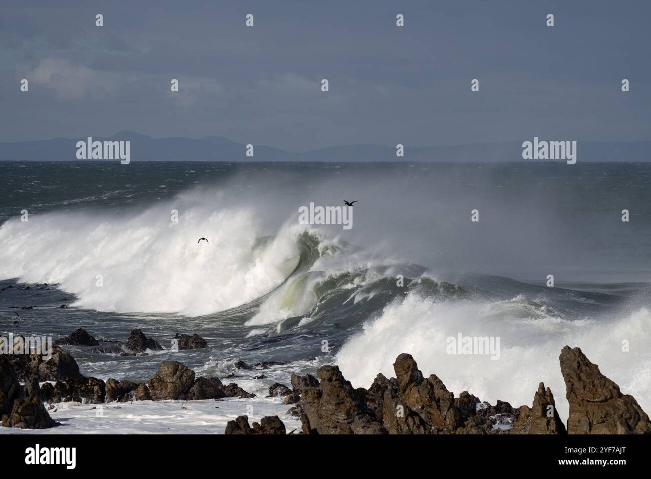 Huge waves in South Africa. Beach in False Bay. Stormy ocean during ...