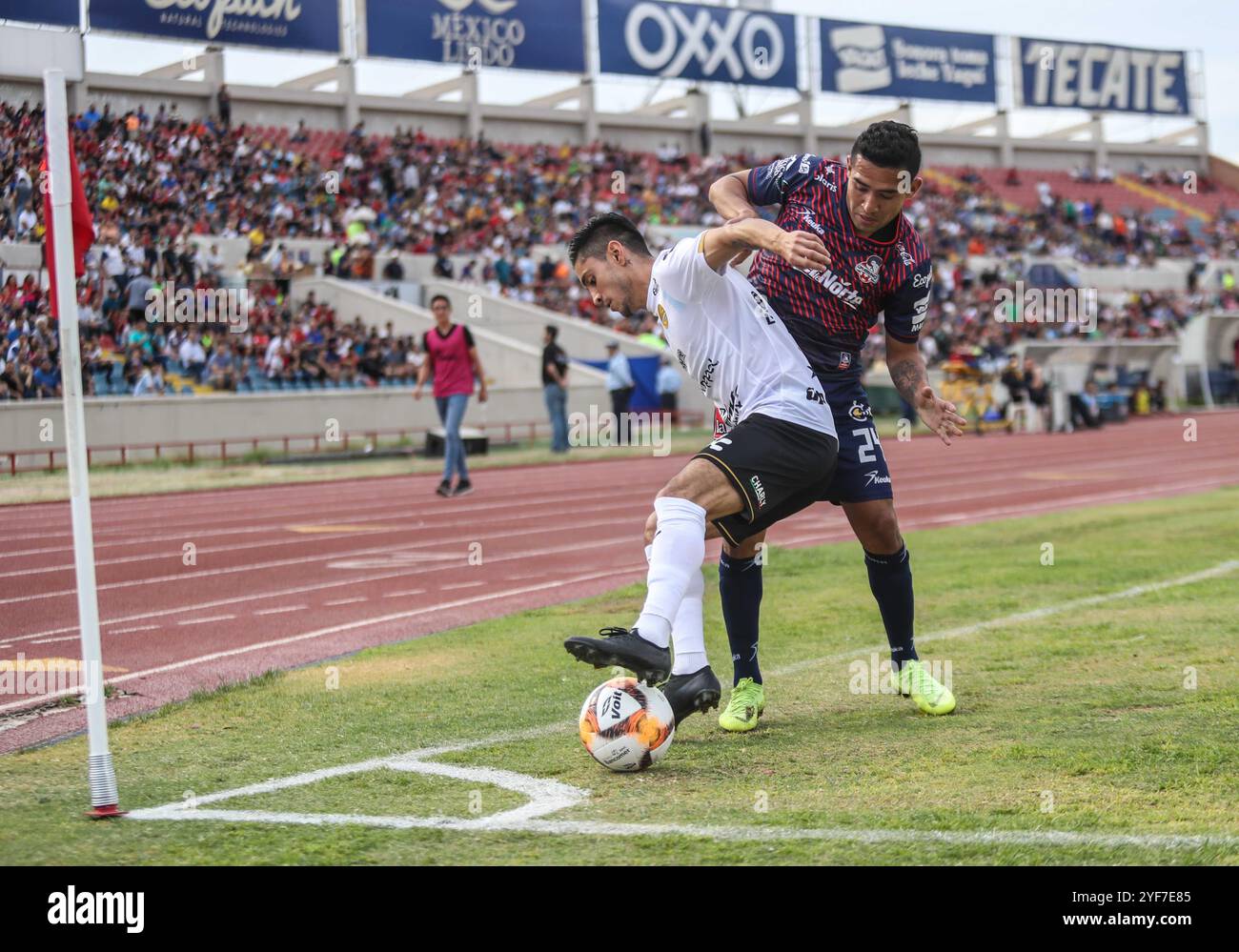 Diego Armando Maradona, Argentine soccer star, as coach during the ...