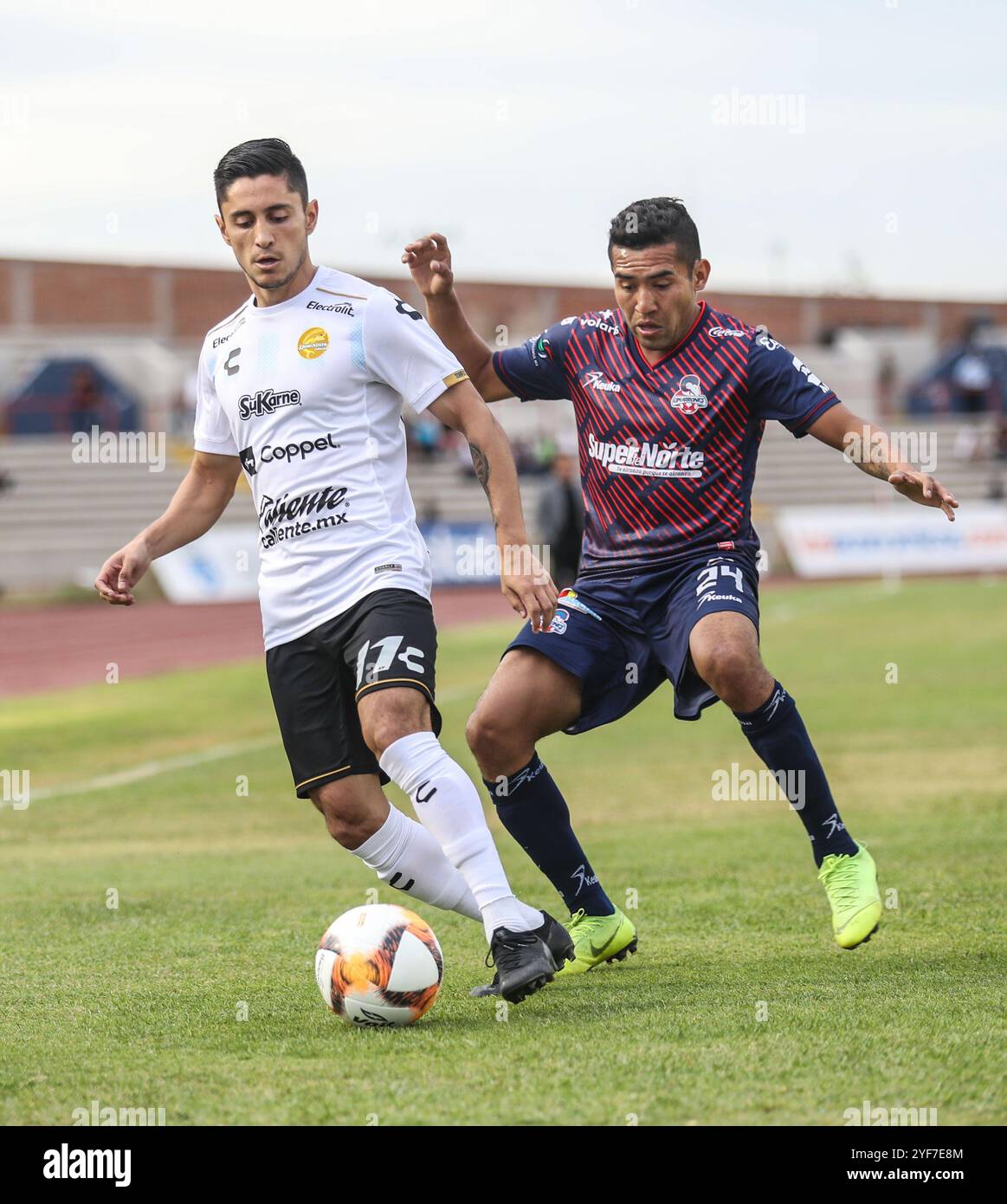 Los cuartos de final hi-res stock photography and images - Alamy