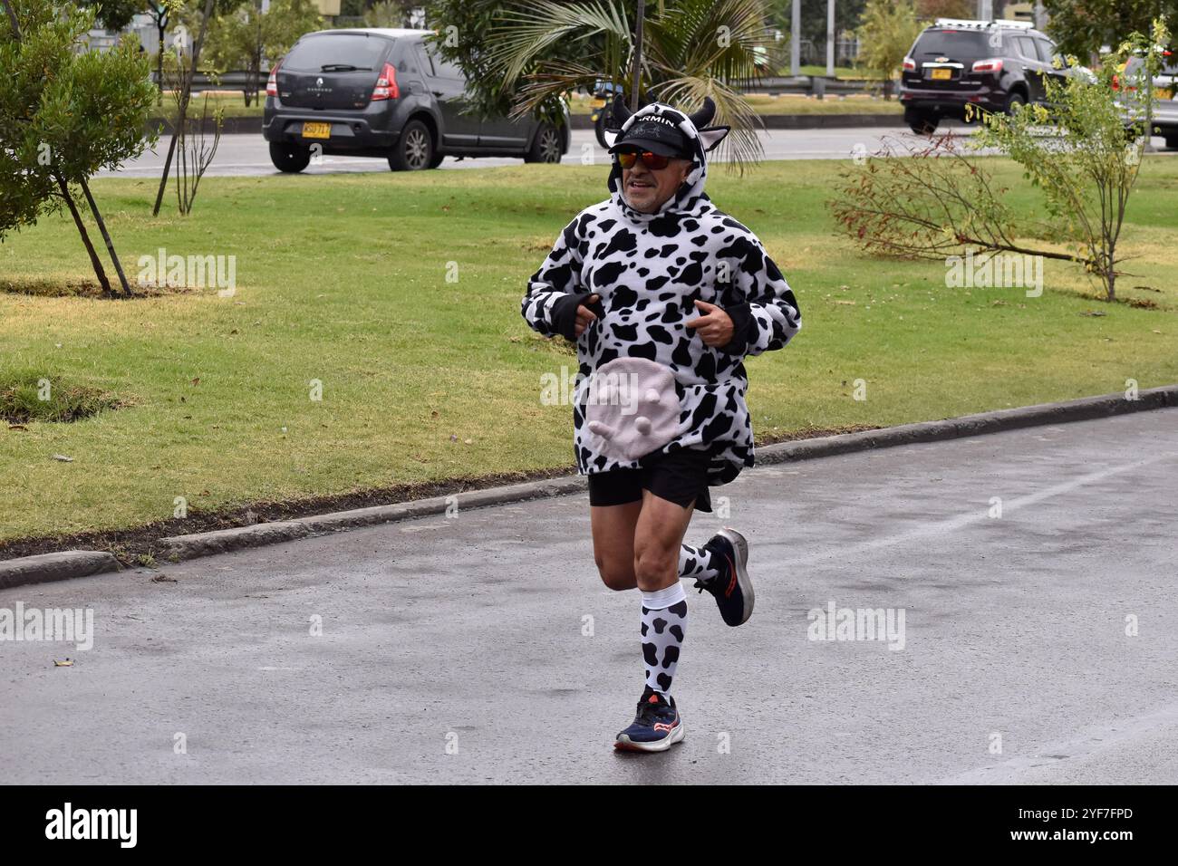 Bimbo marathon hi-res stock photography and images - Alamy