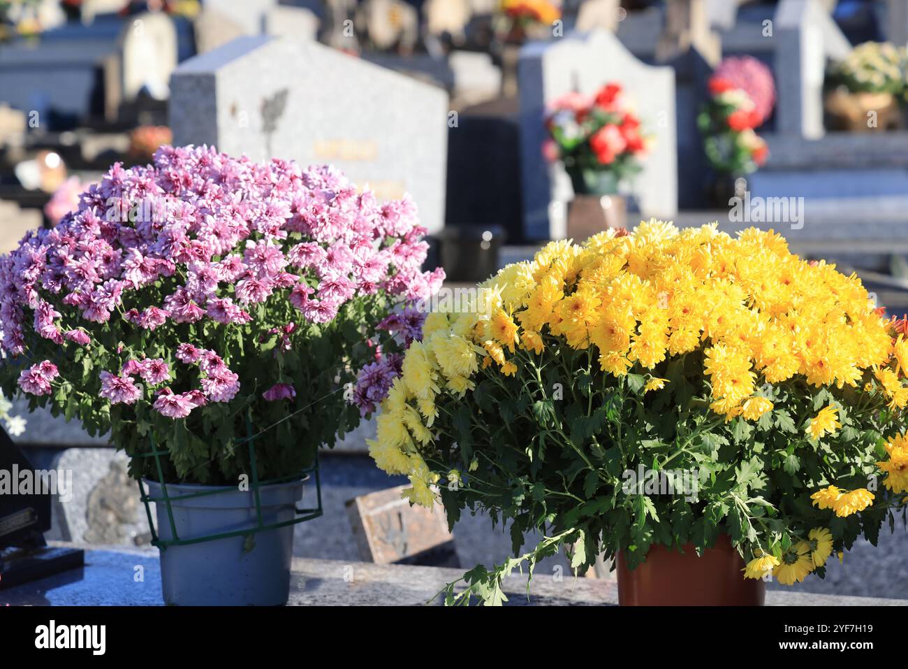 All Souls' Day or commemoration of all the faithful departed in a ...